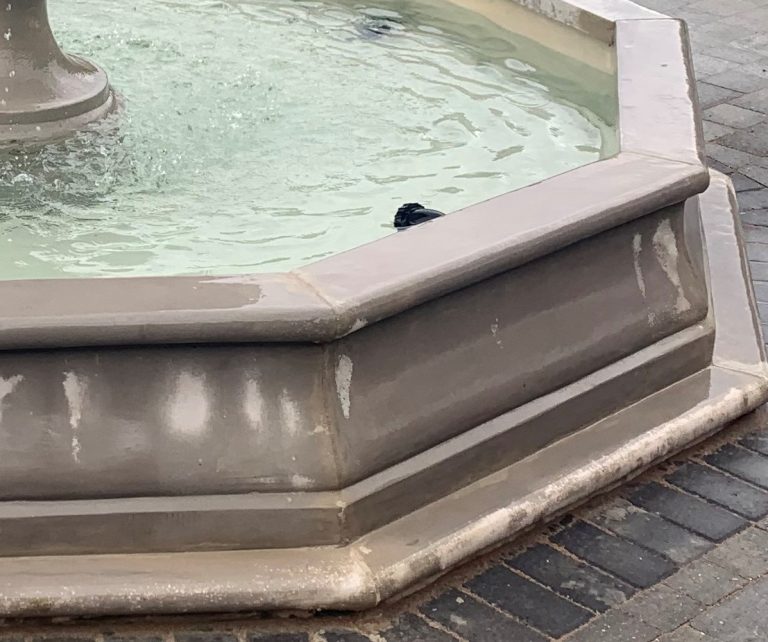 Fountain Pool Surround