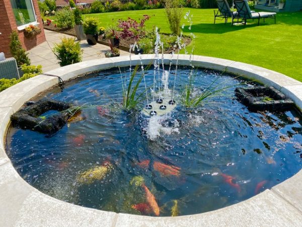 Fountain Pool Surround